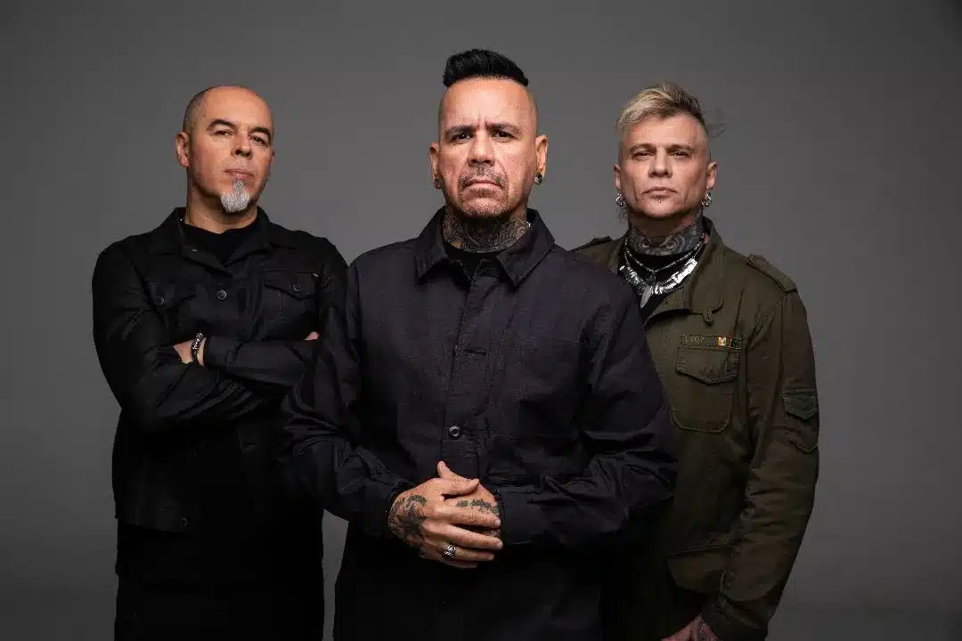 A.N.I.M.A.L. - Rock.com.ar