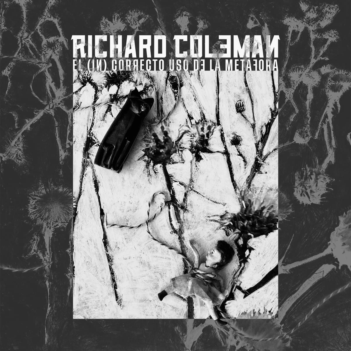 El (in) correcto uso de la metáfora, un disco de Richard Coleman - Rock ...